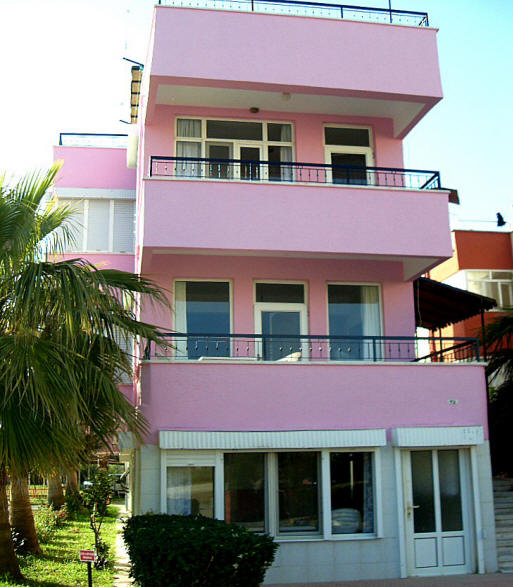 the pink house